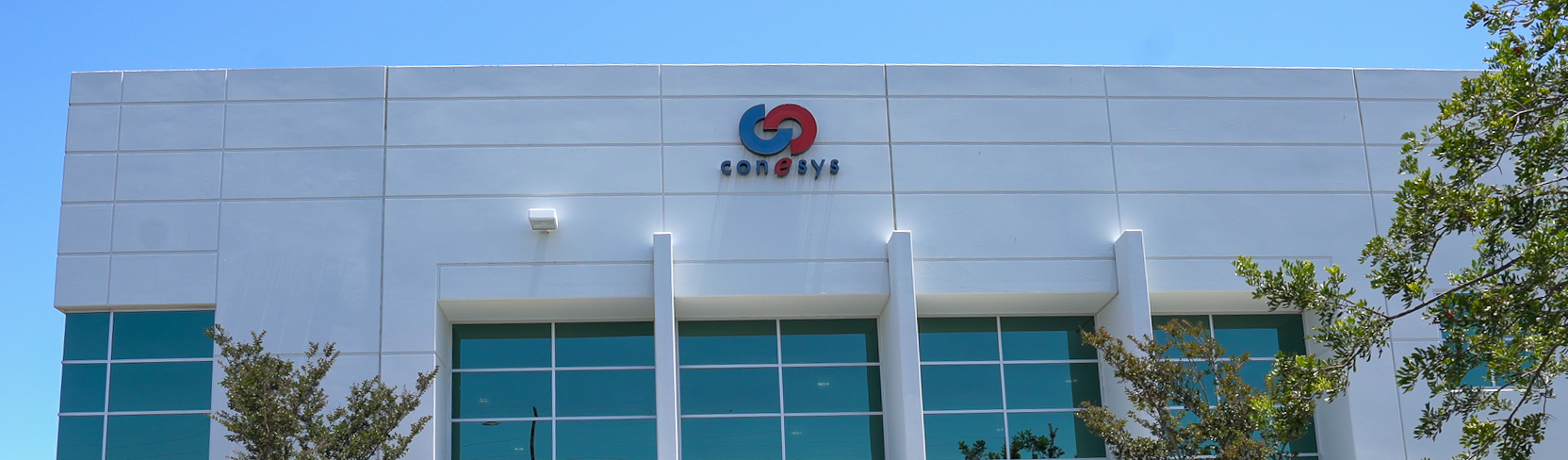 20 Years of Trust: How VectorUSA Became Conesys’ Go-To IT Partner